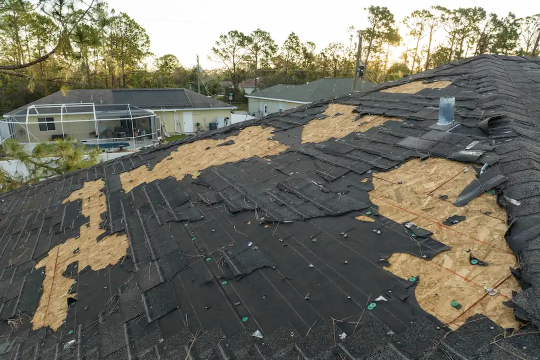 Understanding Roof Damage: Top Causes & Solutions | Roof Rescue